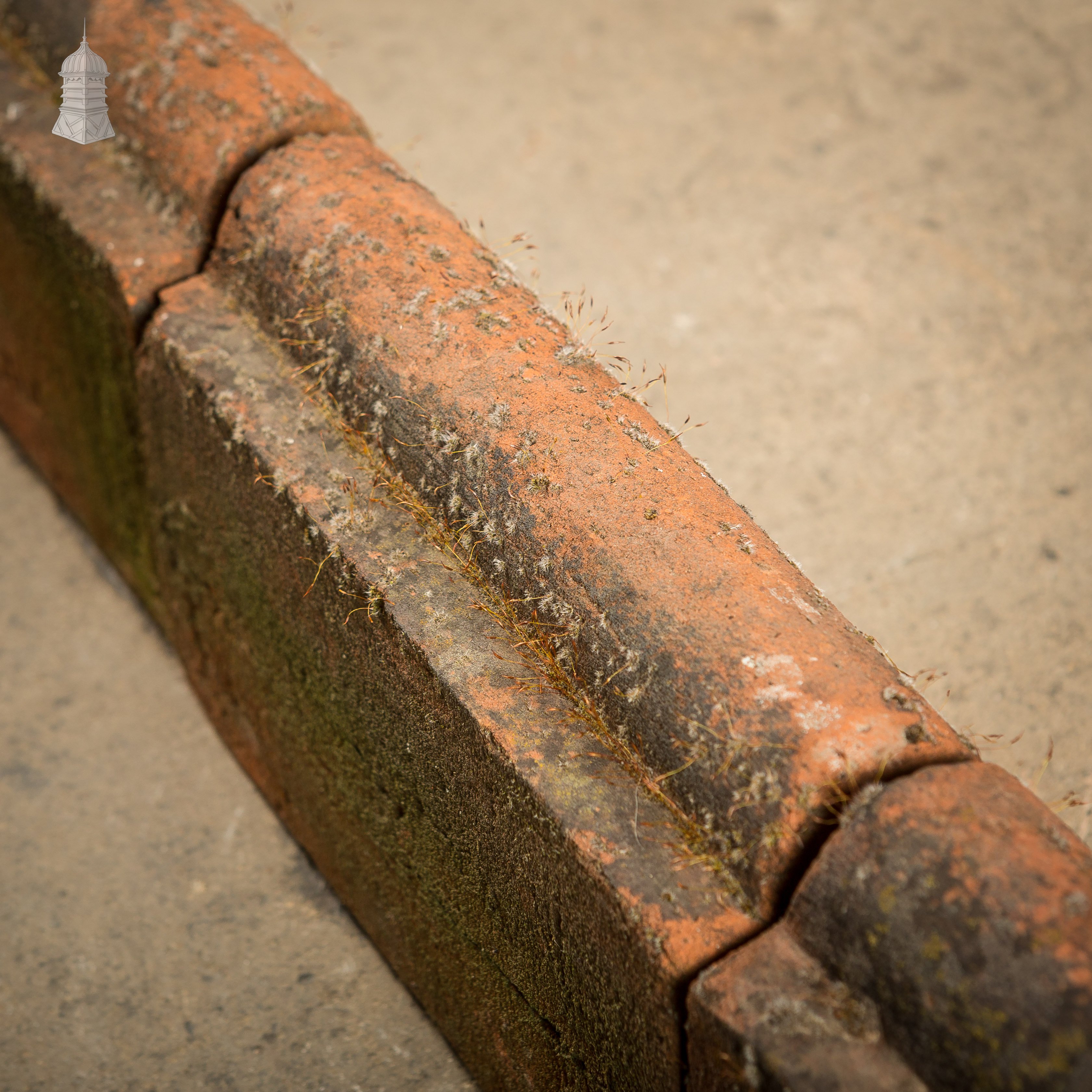 Batch of 20 Reclaimed Red Brick Specials | Norfolk Reclamation