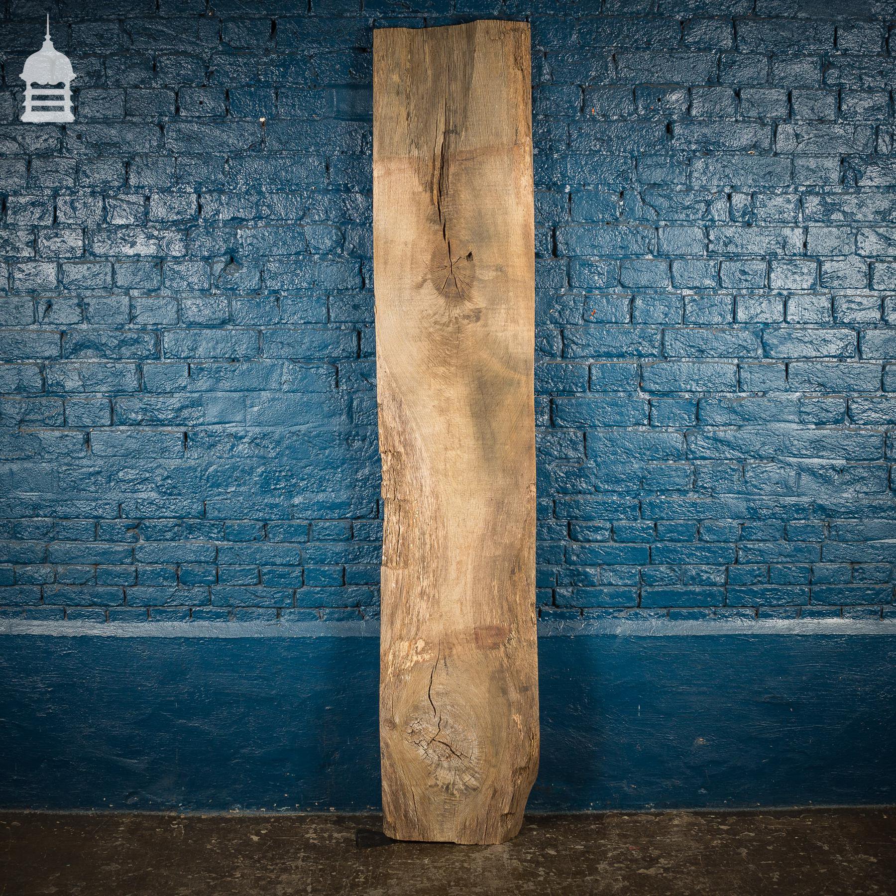 Thick Plank of Seasoned Oak | Norfolk Reclamation