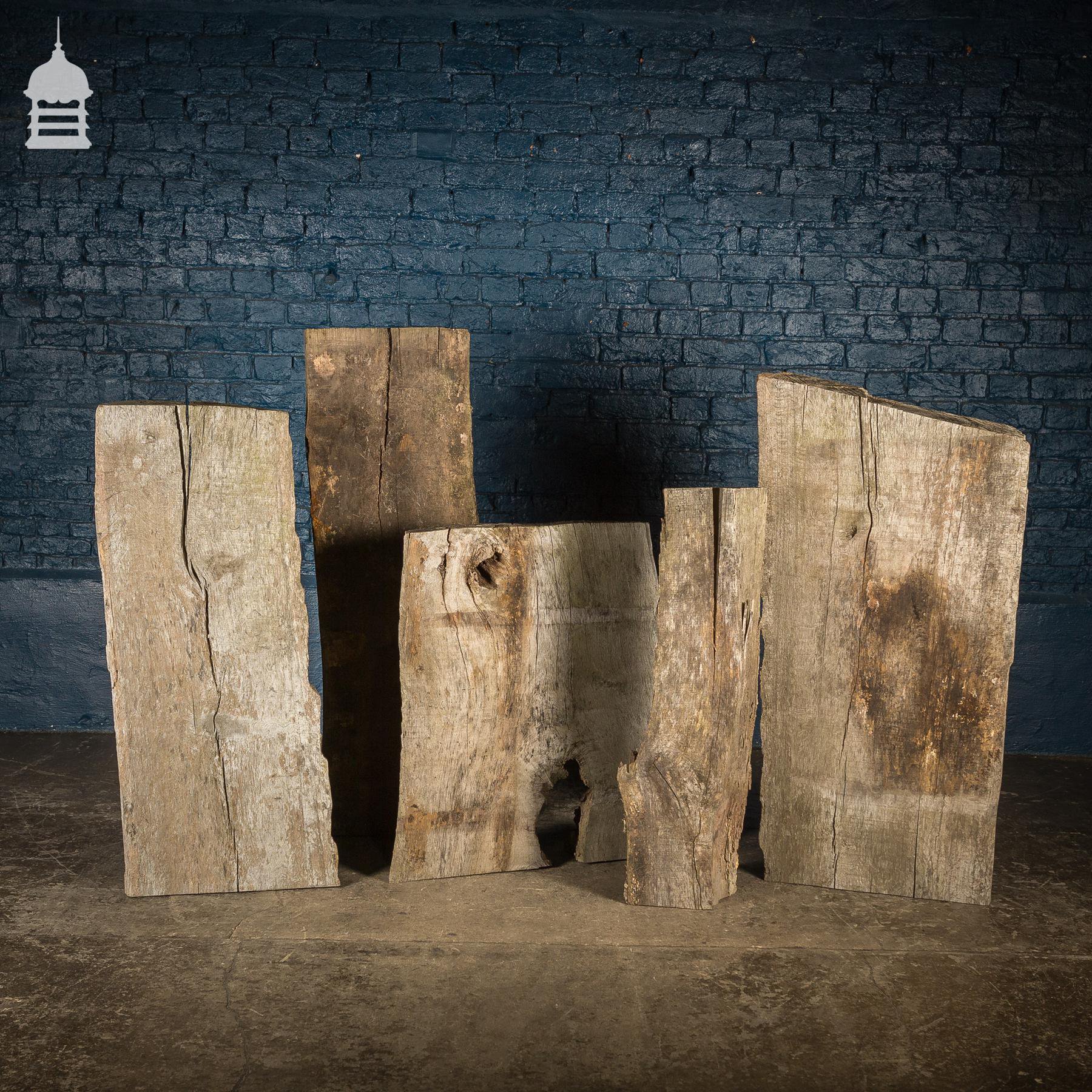 Batch of 5 Thick Seasoned Oak Slabs | Norfolk Reclamation